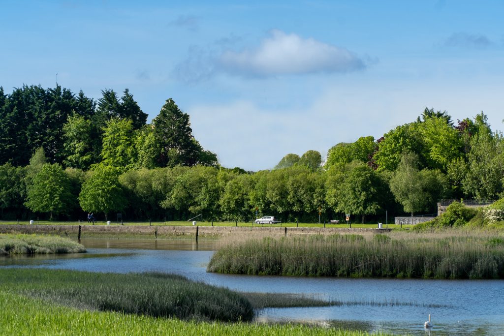Project Update - Summer 2021 - Demolition Begins - Roche Clarecastle ...
